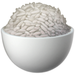 Cooked Rice Emoji (U+1F35A)